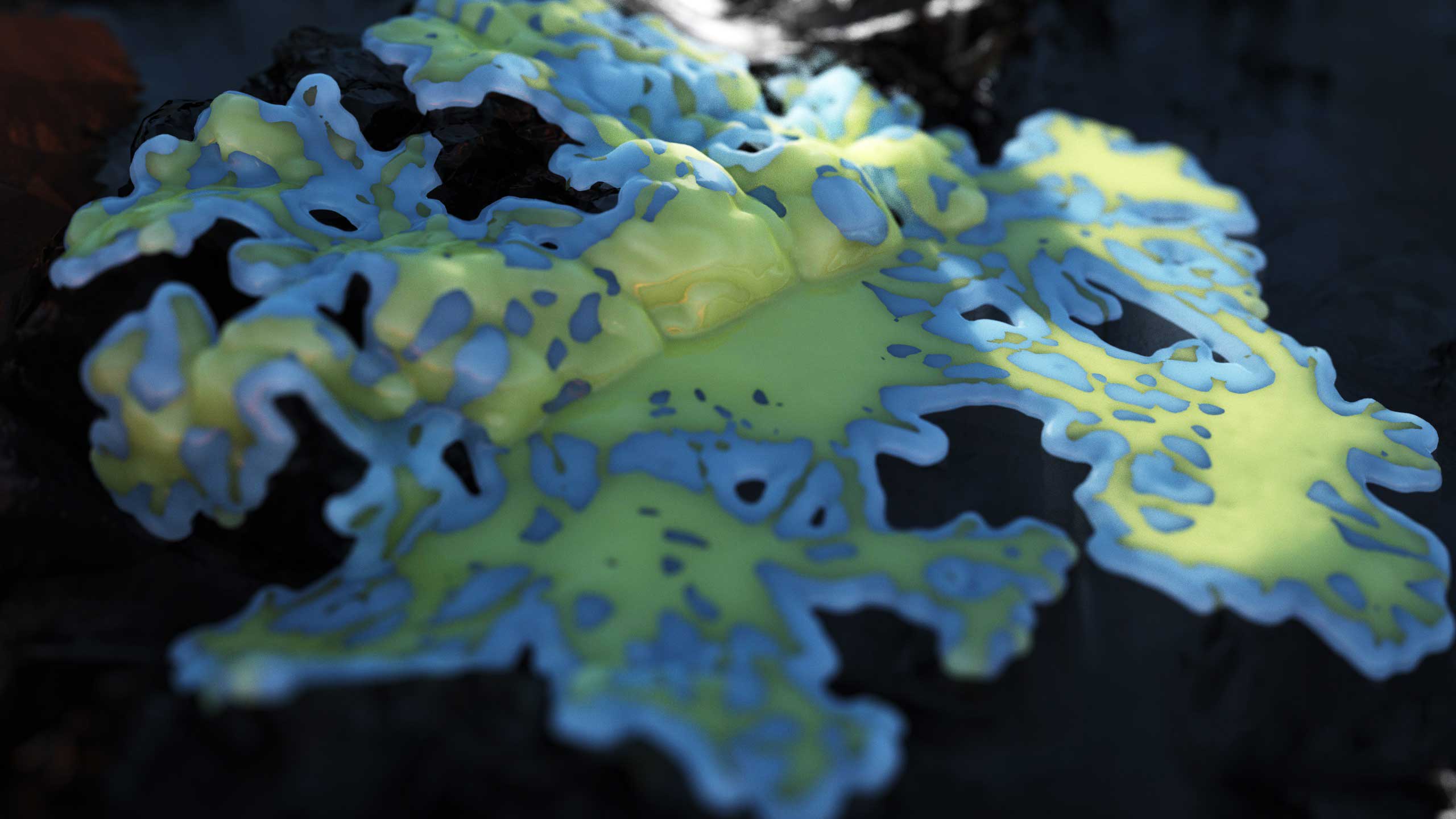 INSYDIUM LTD | NeXus